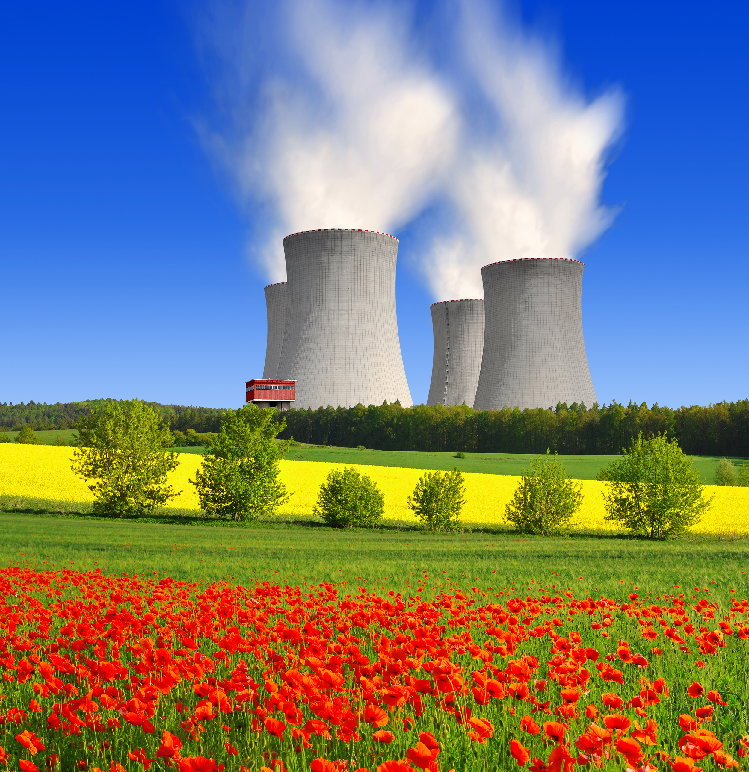 Qatar General Electricity & water Corporation - المؤسسة العامة القطرية ...